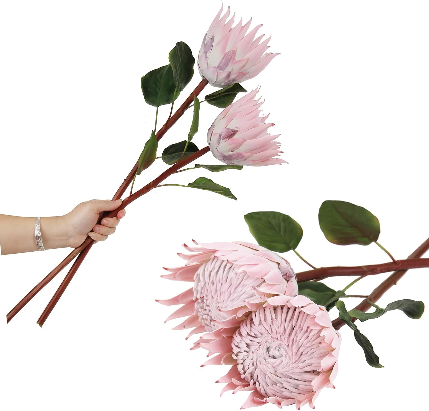 4pcs Artificial Protea Flowers,26 Inch Super Long Stem Faux Protea ...