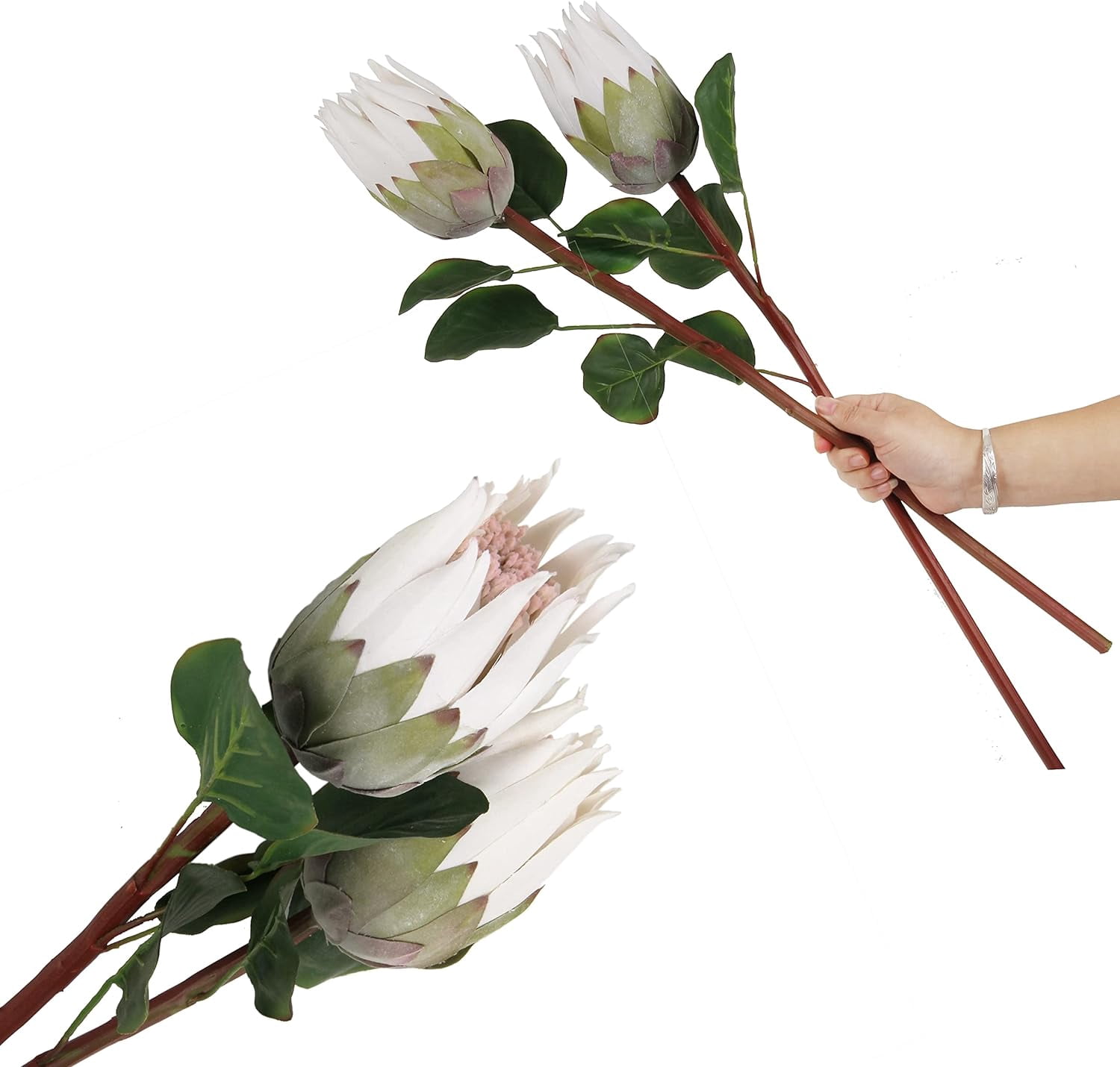 4pcs Artificial Protea Flowers,26 Inch Super Long Stem Faux Protea ...