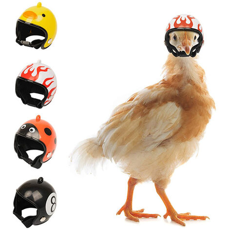 4pcs Chicken Helmet, Bird Safety Helmet, Adjustable Chicken Head ...
