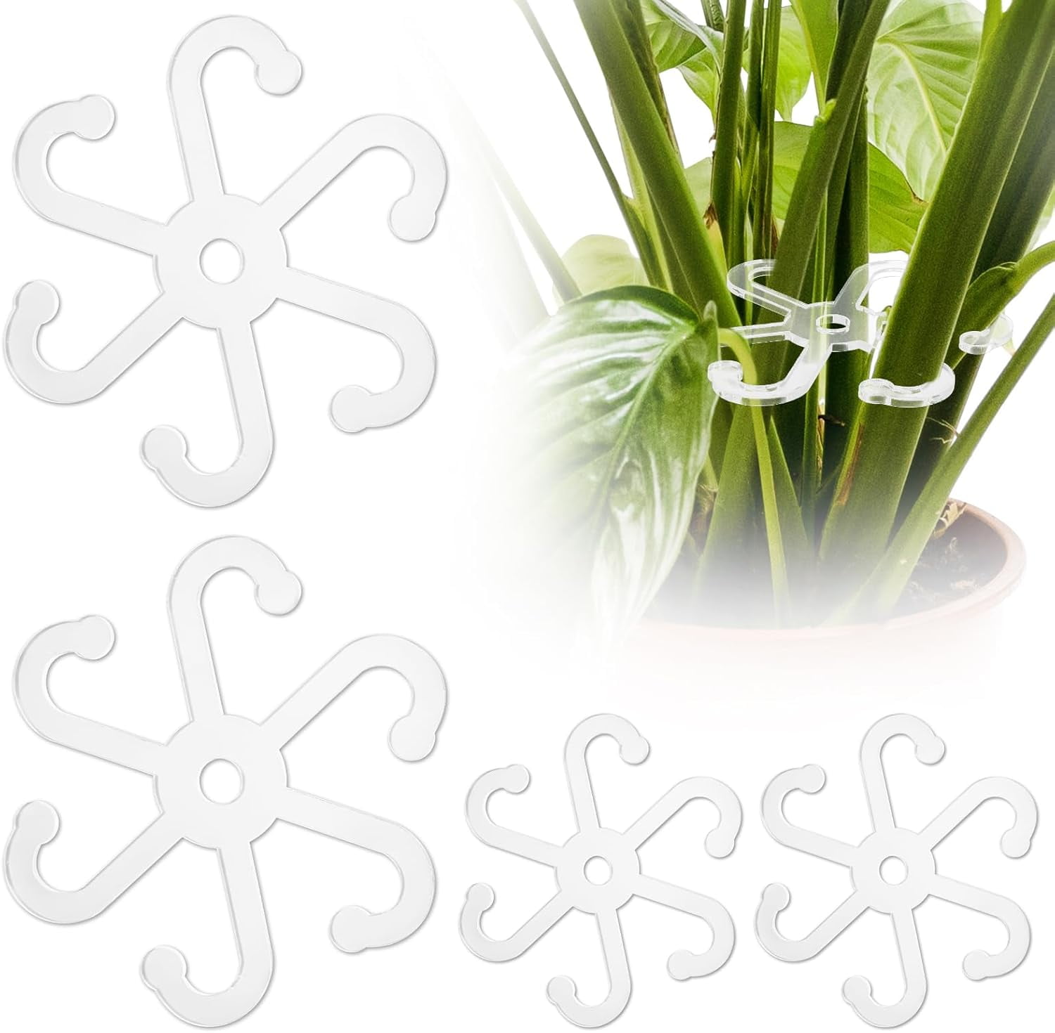 4pcs Climbing Houseplant Stem Supports, 2 Sizes Acrylic Plant Leaf ...