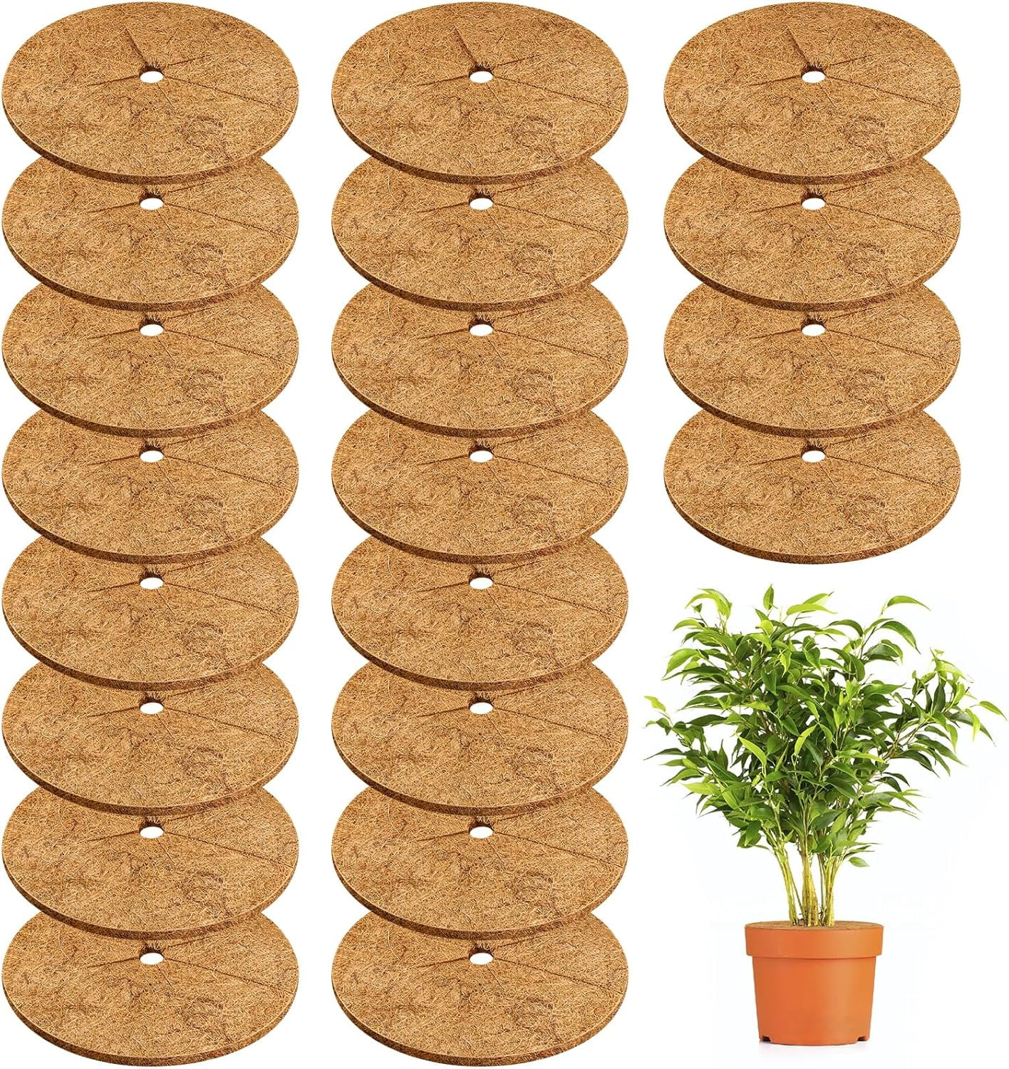 4pcs Coconut Fiber Mulch Ring Tree Plant Protector Mat, 11.8 Inch ...