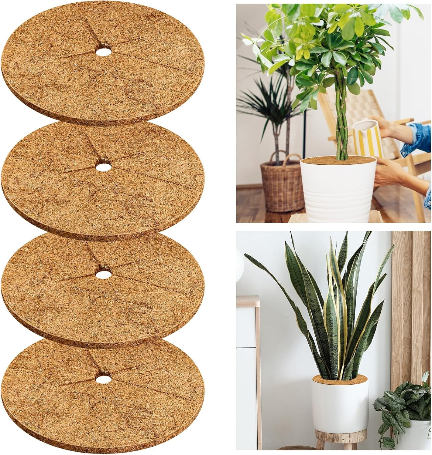 4pcs Coconut Fiber Mulch Ring Tree Plant Protector Mat, 11.8 Inch ...