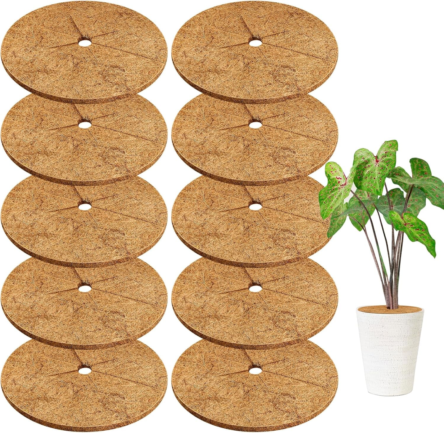 4pcs Coconut Fiber Mulch Ring Tree Plant Protector Mat, 11.8 Inch ...