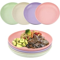9 Inch Dinner Plates, STONCEL Unbreakable Pizza Plates, Set of 4 ...