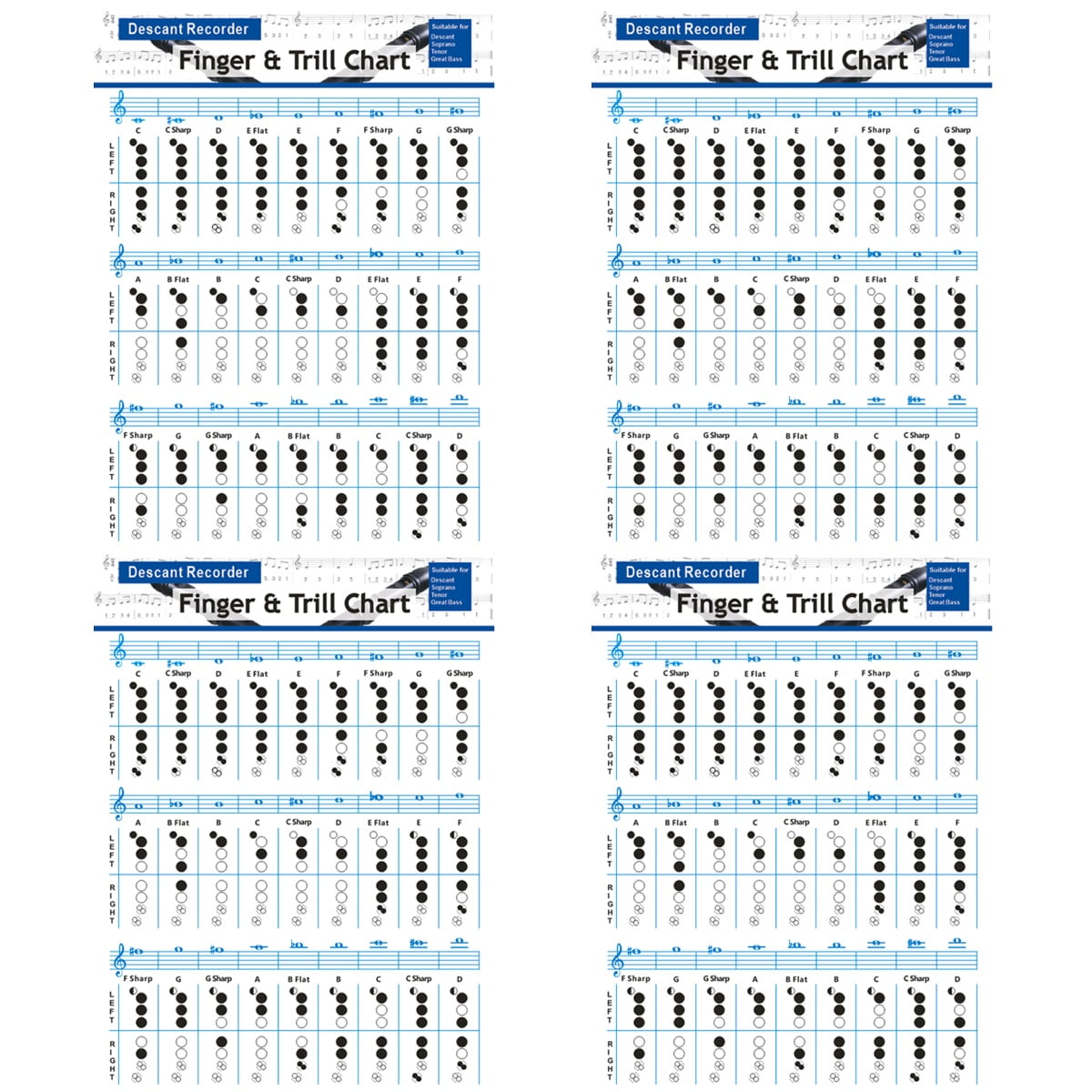 4pcs Flute Chord Chart Flute Practice Chord Chart for Beginner Students ...