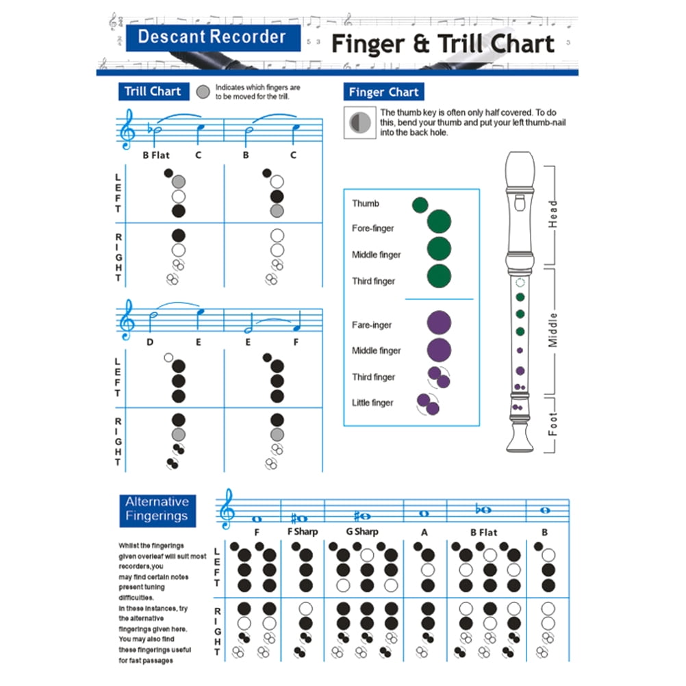 4pcs Flute Chord Chart Flute Practice Chord Chart for Beginner Students ...