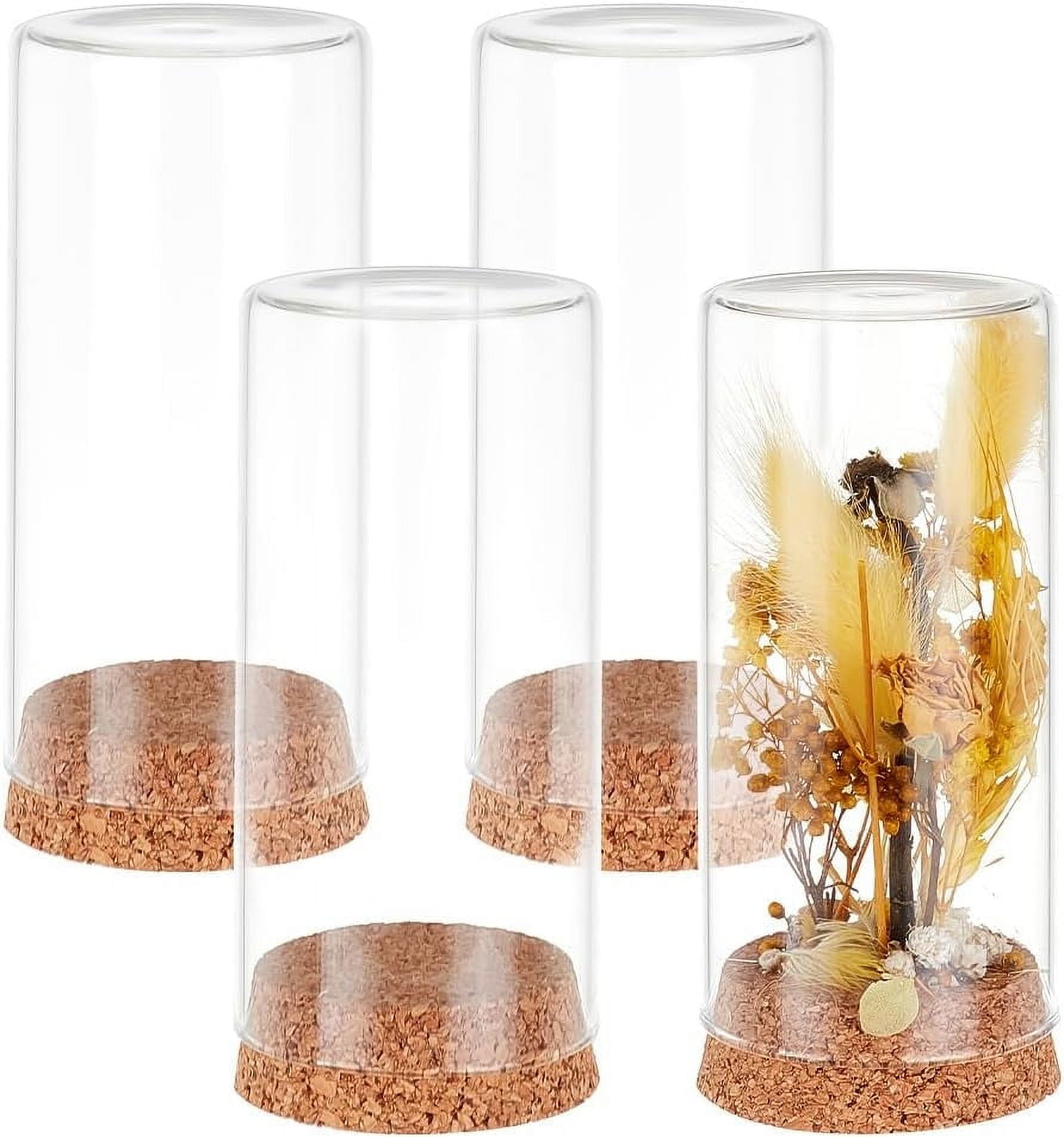 4pcs Glass Cloche Dome Long Display Bottle Glass Bell Jar with Cork ...