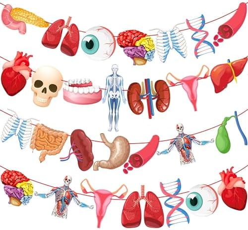 4pcs Human Anatomy Body Part Theme Banners Human Anatomy Party ...