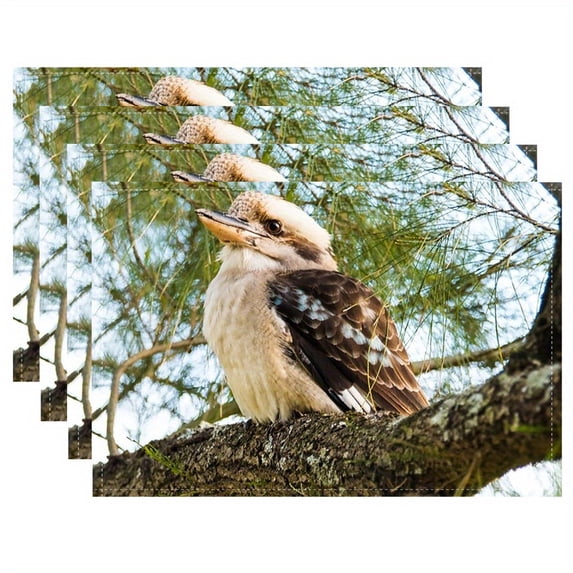 4pcs, Laughing Kookaburra Perched placemats, fashion print pattern ...