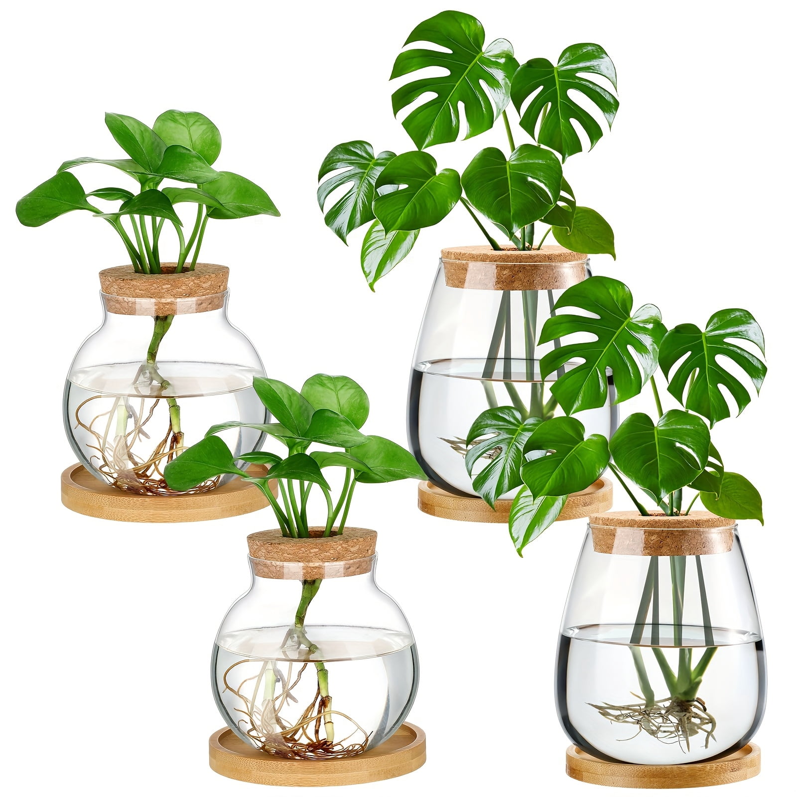 4pcs Plants Propagation Stations Vases Glass Planters with Wooden Lid ...