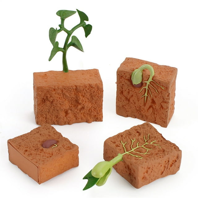 4pcs Simulation Plant Growth Cycle Model Action Figures Soil Seed ...