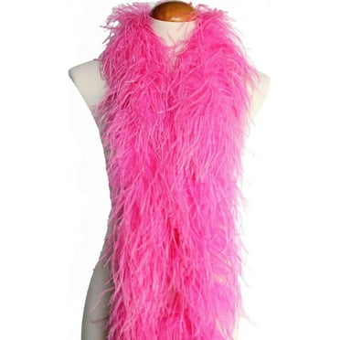 Fancy Nancy Fancy Pink Boa includes 2 Hair Clips - Walmart.com