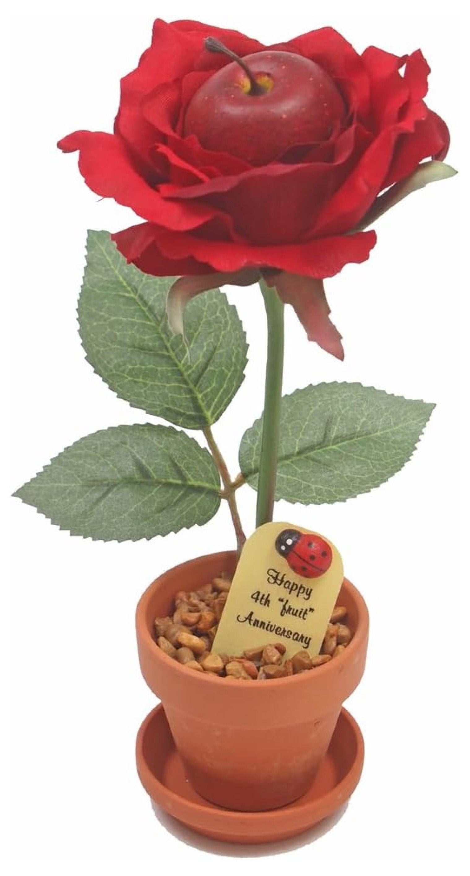 4th Year Wedding Anniversary 7 inch Potted (Artificial) Fruit Rose ...