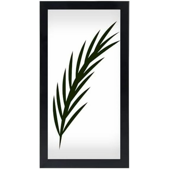 4x10 Picture Frame in Black, Photo Frames with Plexiglass, Horizontal ...