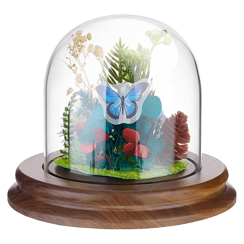 4x4 Inch Cloche Glass Dome Display Clear Dome with Walnut Wood Base ...