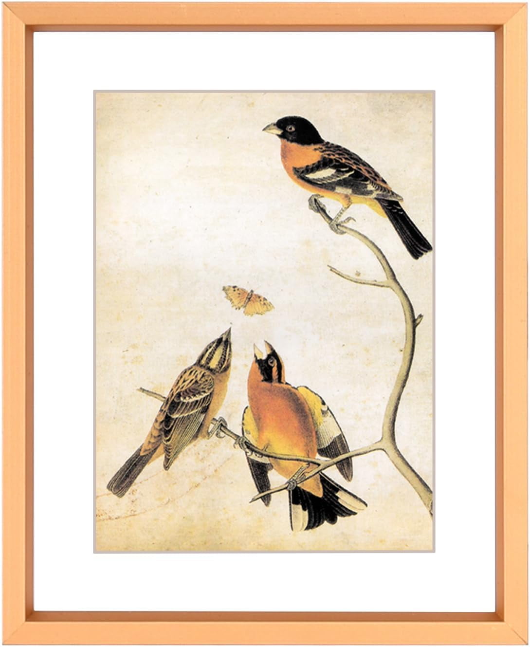 4x5 Picture Frame, Gold Aluminum Metal Photo Frames with HD Glass, Fits ...