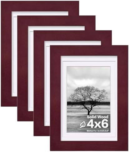 4x6 Frames Set of 4, Made of Solid Wood Covered by Plexiglass 3x4.5 and ...