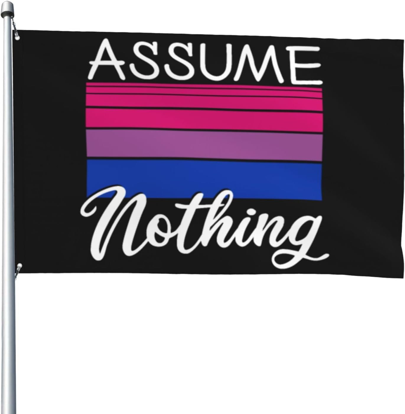 4x6 Ft Garden flag LGBT Bi Pride Gifts Assume Nothing Bisexual Flag ...