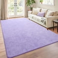 4x6 Minimalist Washable Area Rugs for Bedroom Living Room Classroom ...