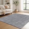 4x6 Solid Plush Shaggy Washable Area Rug for Living Room, Grey ...