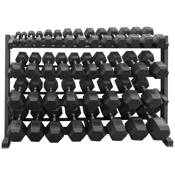 5–100 lbs Dumbbells Weight Set (20 Pairs) with Weight Storage Rack ...