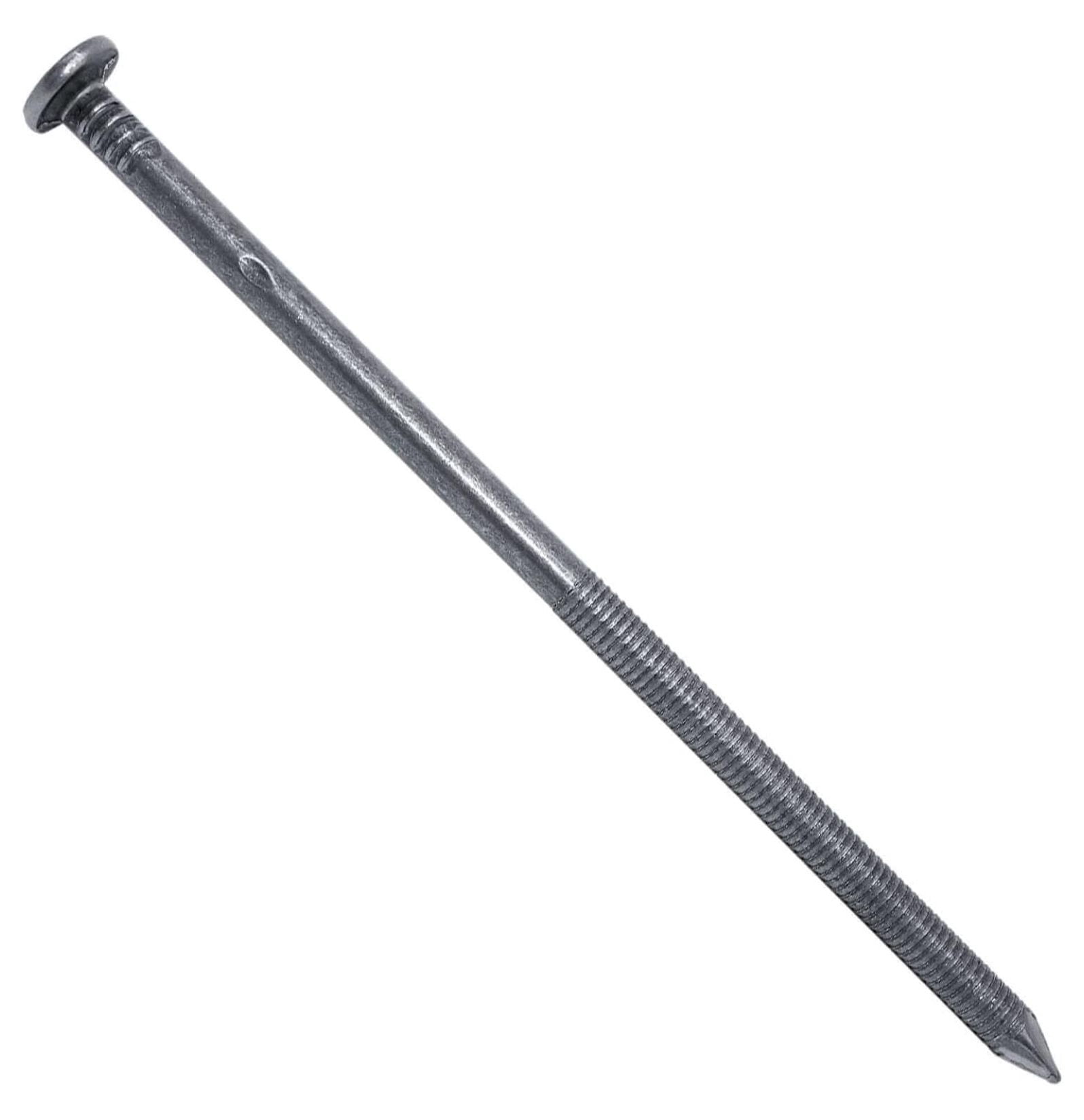 5/16" x 8" Ring Shank Spike - Full Box ~252 - Used for landscaping ...