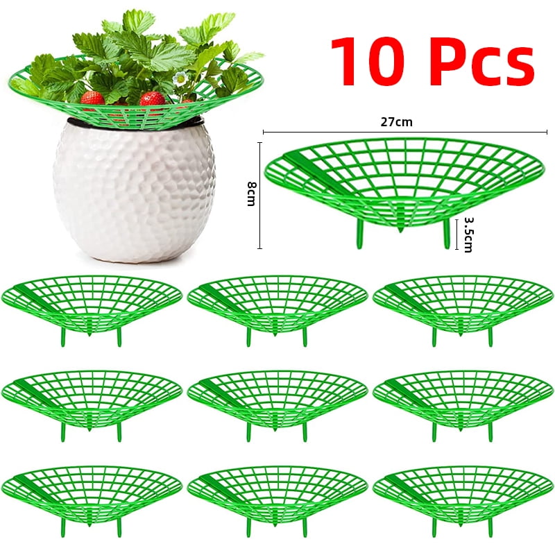 5-20 Pack Strawberry Supports Keeping Plant Fruit Stand Vegetable ...