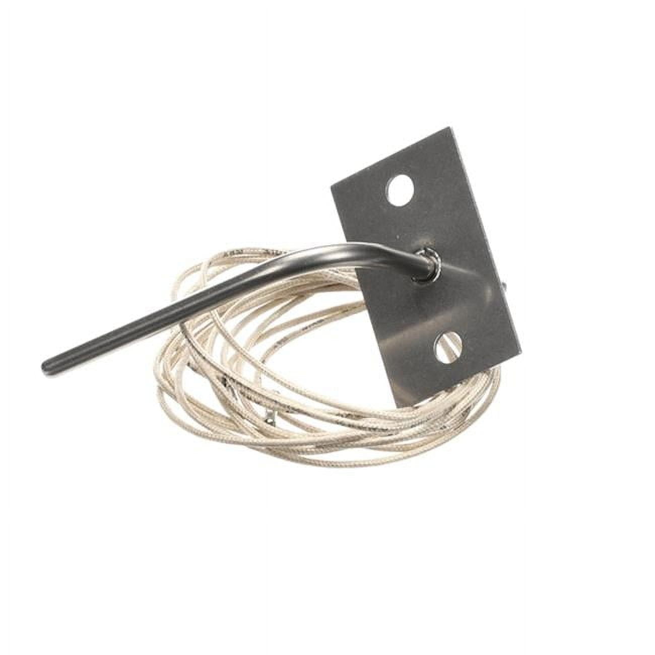 5.25 in. PT1000 Water Tank Temperature Probe - Walmart.com