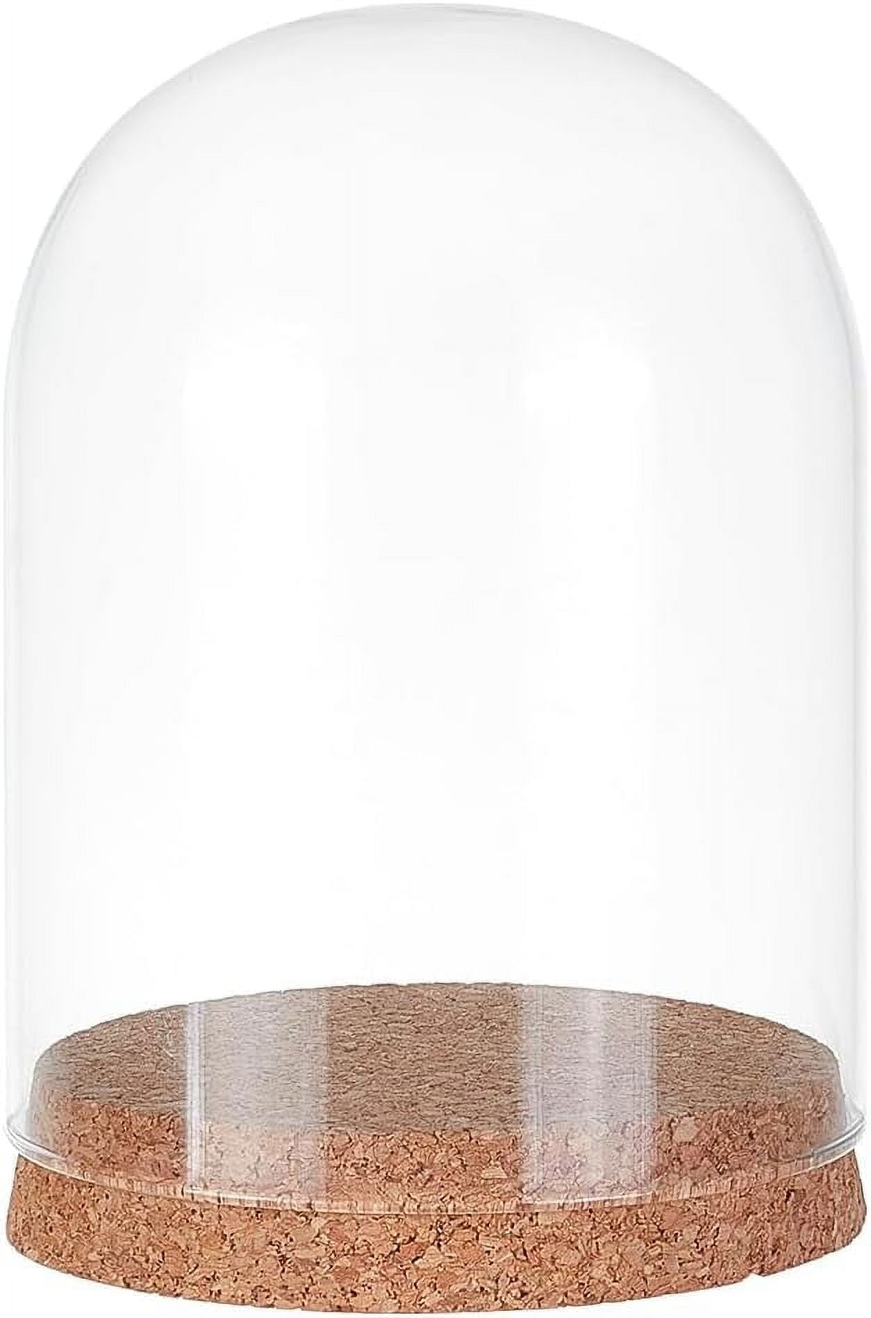 5.2x3.9inch Glass Display Dome Cloche Glass Bell Jar Display Dome Glass ...