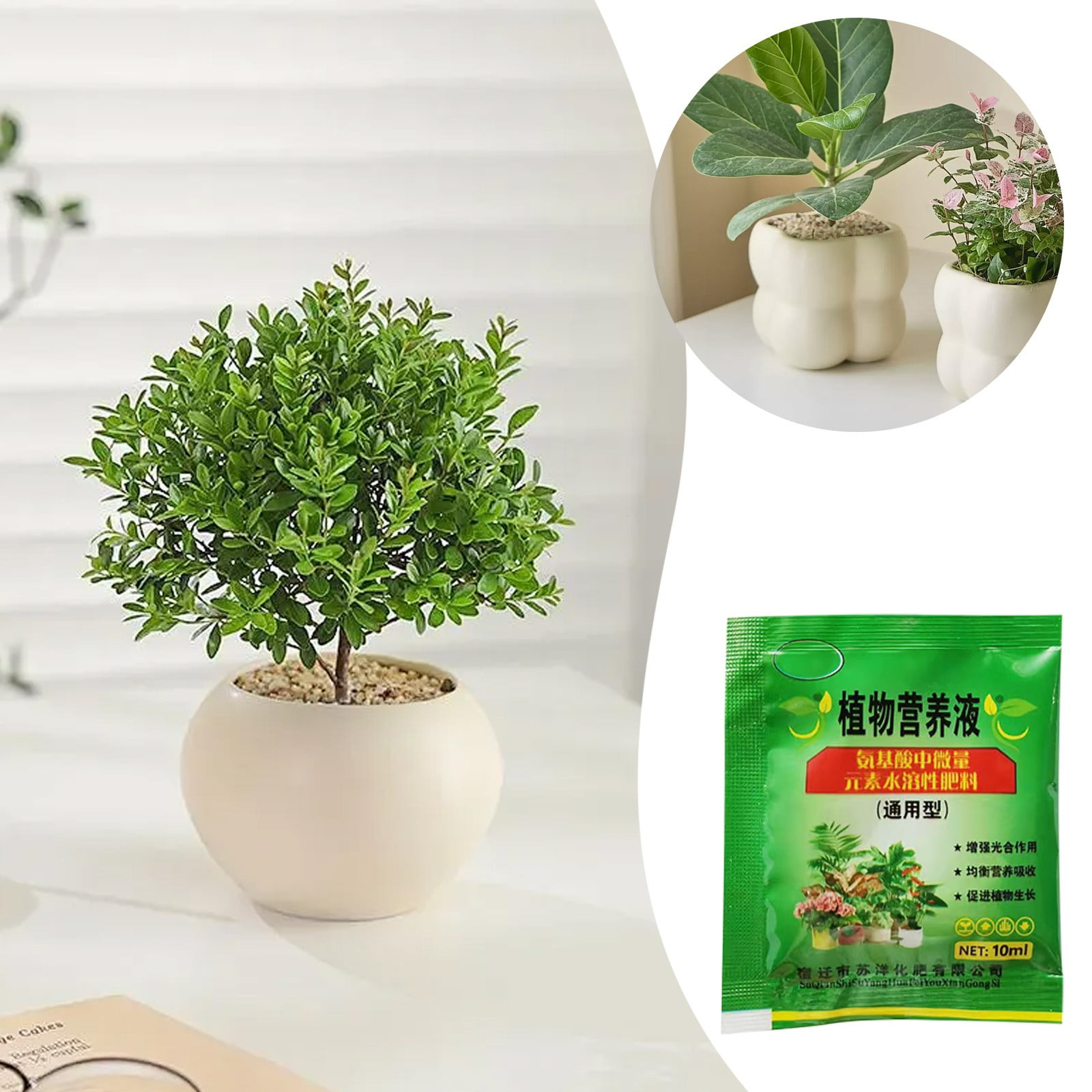 5/4/3/2/1pcs Rooting Powder for Plant Cuttings, Soluble Rooting Powder ...