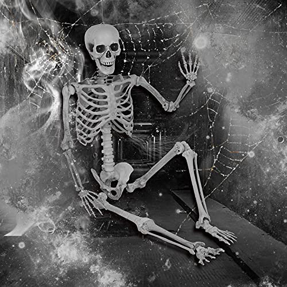 5.4 Ft Halloween Life Size Skeleton, Full Body Plastic Skeleton with ...