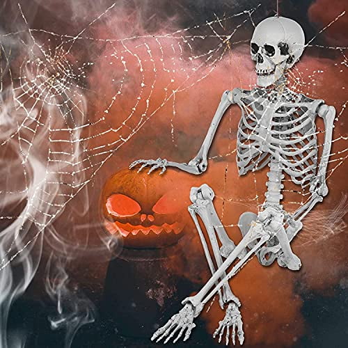 5.4 Ft Halloween Life Size Skeleton, Full Body Plastic Skeleton with ...