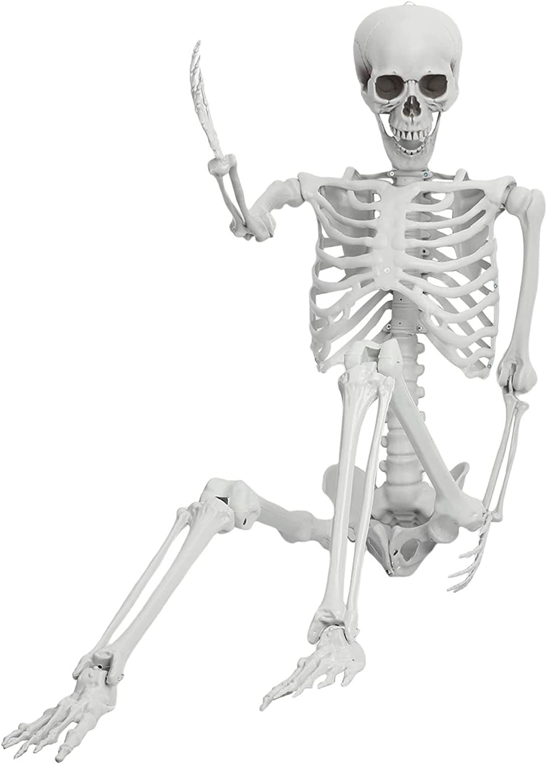 5.4FT/165cm Halloween Life Size Skeleton Full Body, Human Bones with ...
