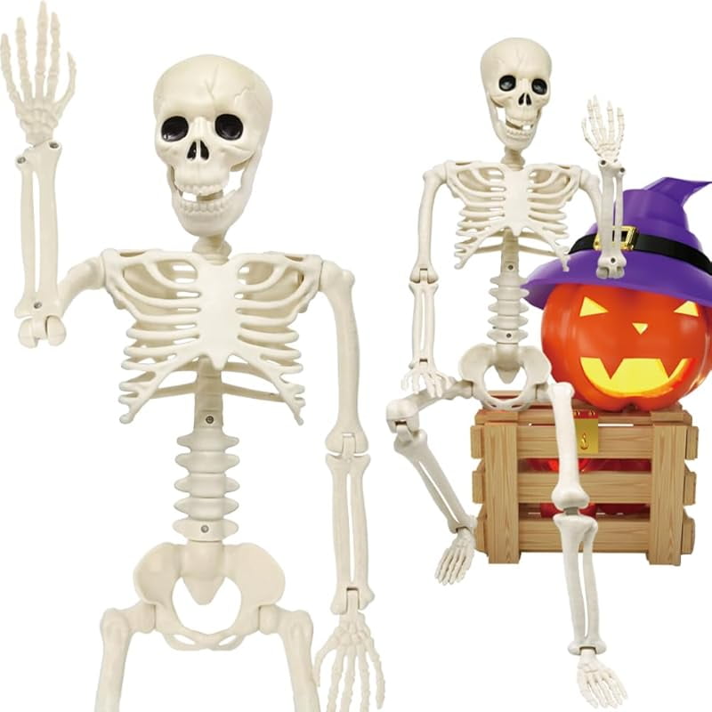 5.4FT Full Size Halloween Skeleton, Life Size Posable Skeleton with ...