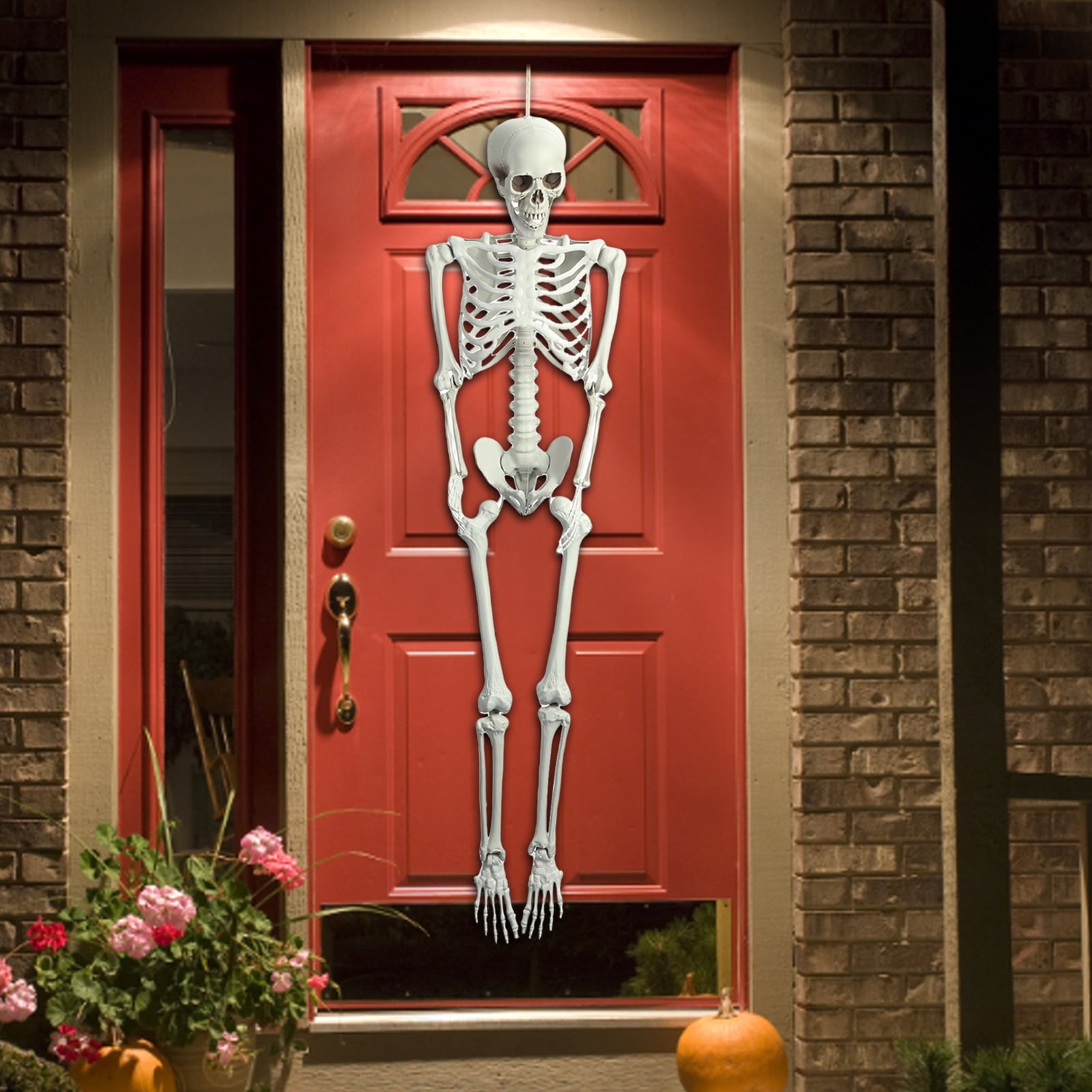 5.4FT Simulation Skeleton,Poseable Skeleton, Prop Life Size Plastic ...