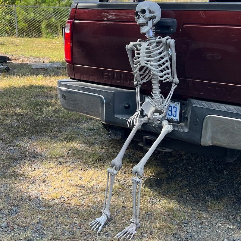 5.4Ft Halloween Skeleton, Life Size Skeleton Halloween Realistic Full ...