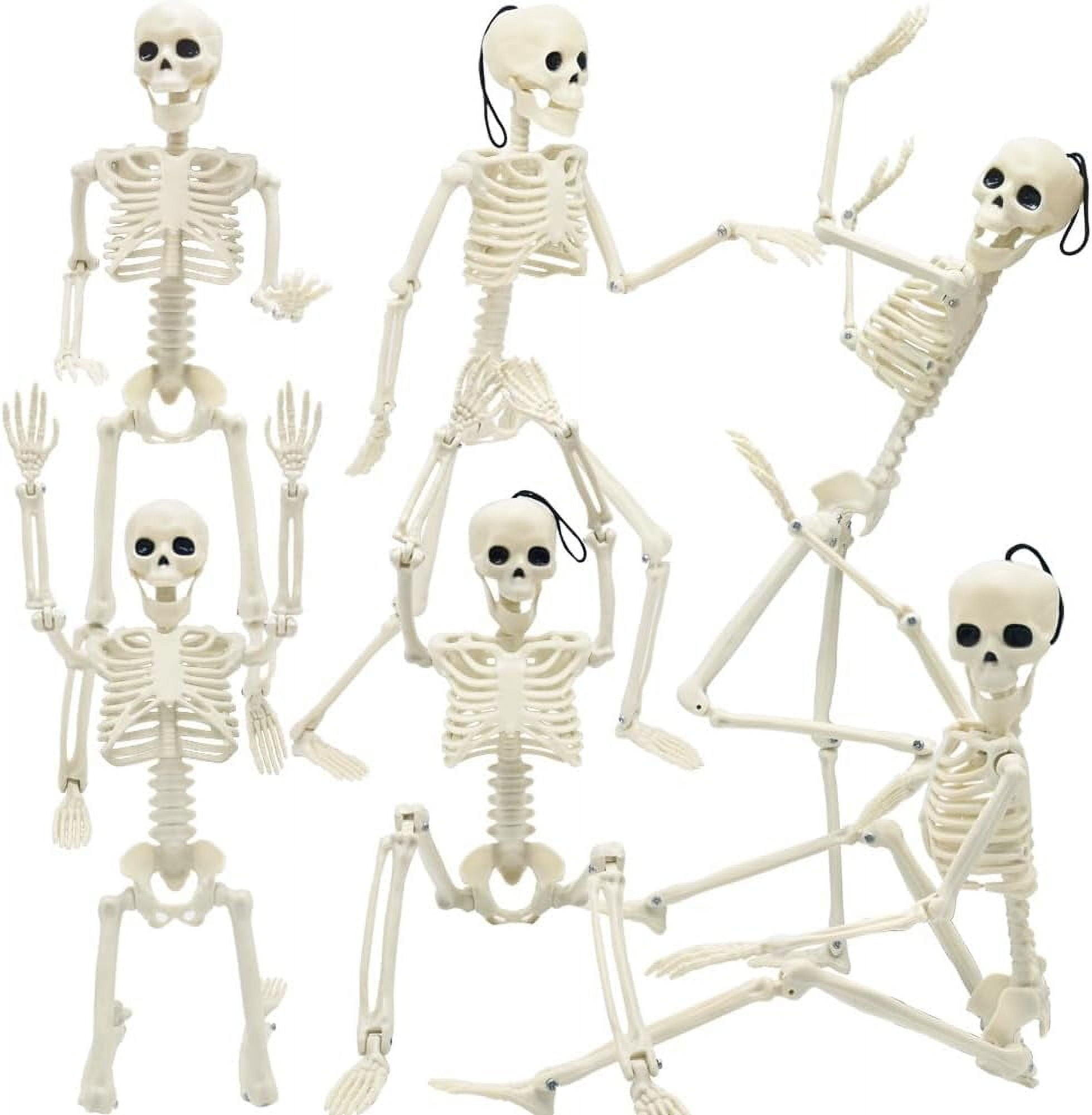 5.4Ft Posable Halloween Skeleton, Full Body Life Size Skeleton with Dog ...