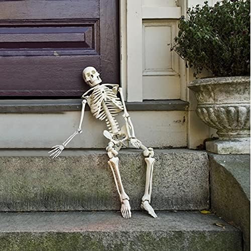 5.4ft/165cm Halloween Skeleton, Posable Life Size Human Skeletons Full ...