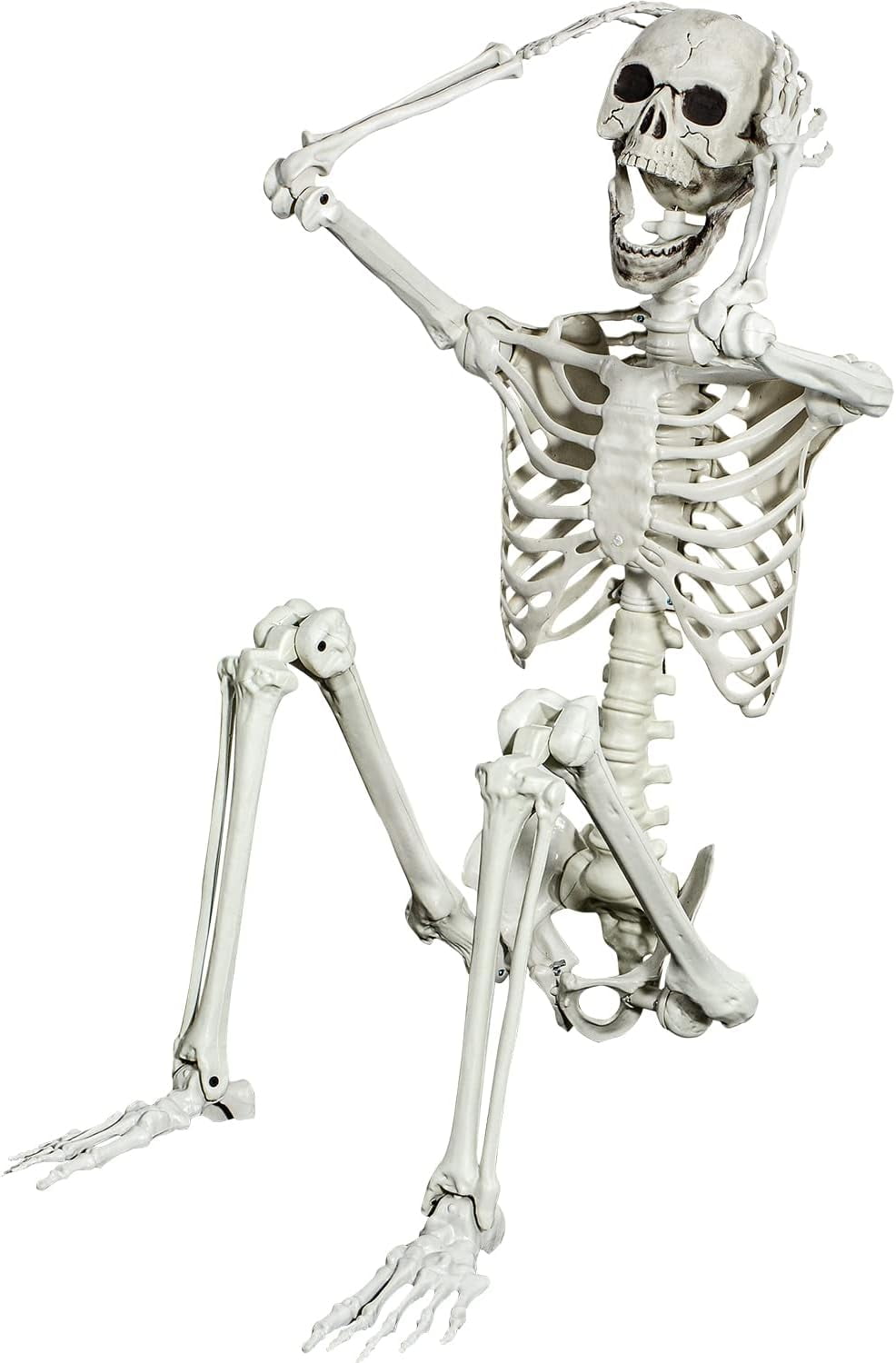 5.4ft Posable Skeleton - Full Body Life Size Skeleton Bones with ...
