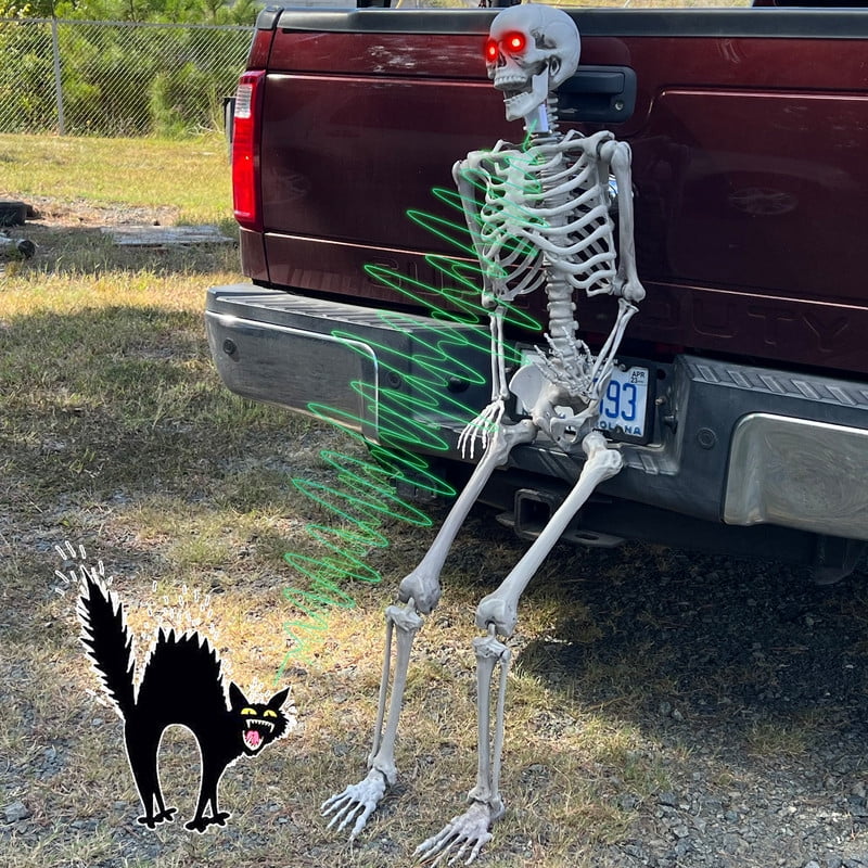 5.4ft Skeleton Life Size Halloween Decor, Large Posable Skeletons with ...