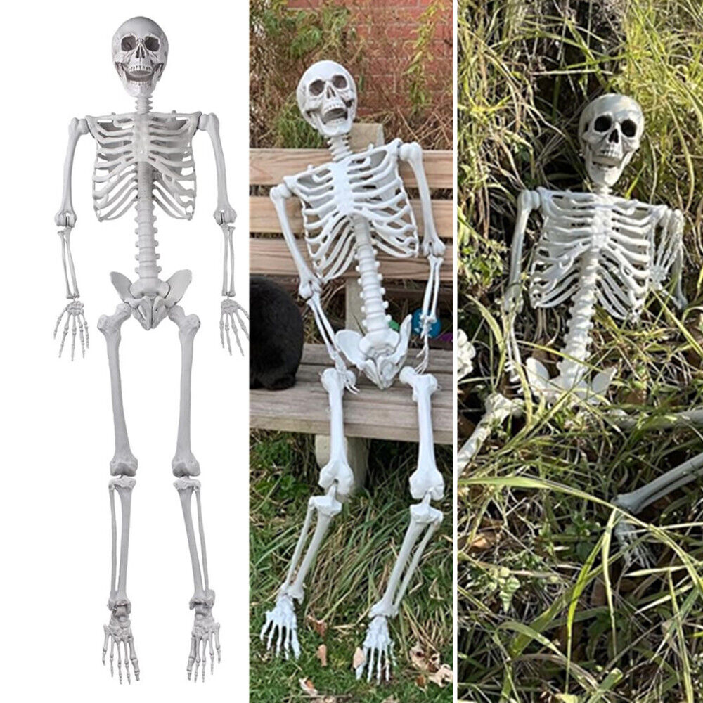 5.4ft Skeletons Life Size Full Body Bones with Movable Joints Halloween ...