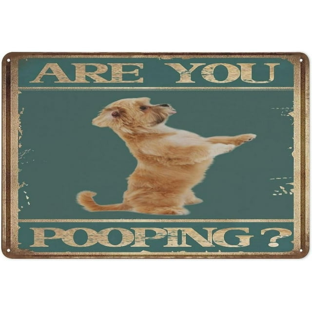 5.5×8 inch Metal Sign Dog Are You Pooping Sign Vintage Funny Sign Retro ...