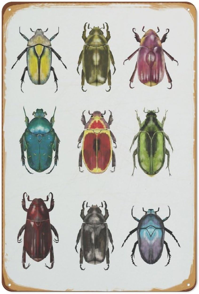 5.5×8 inch Scarab Beetles,Beetle Metal Sign,Beetle Drawing,Beetle ...