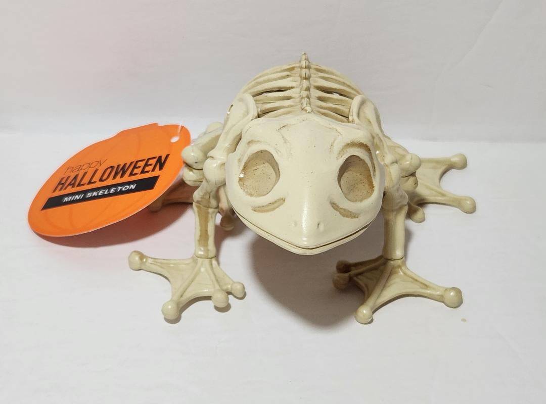 5.5 Inch Happy Halloween Crazy Bones Skeleton Frog Prop with Movable ...