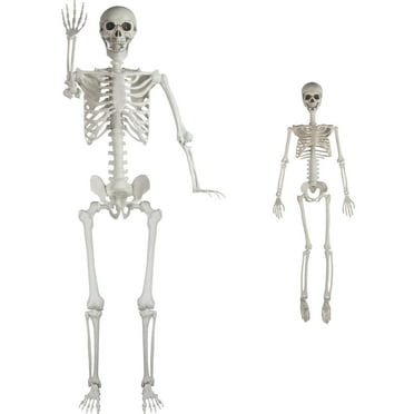 6 Ft Life Size Skeleton Poseable Full Size Halloween Party Decorations ...