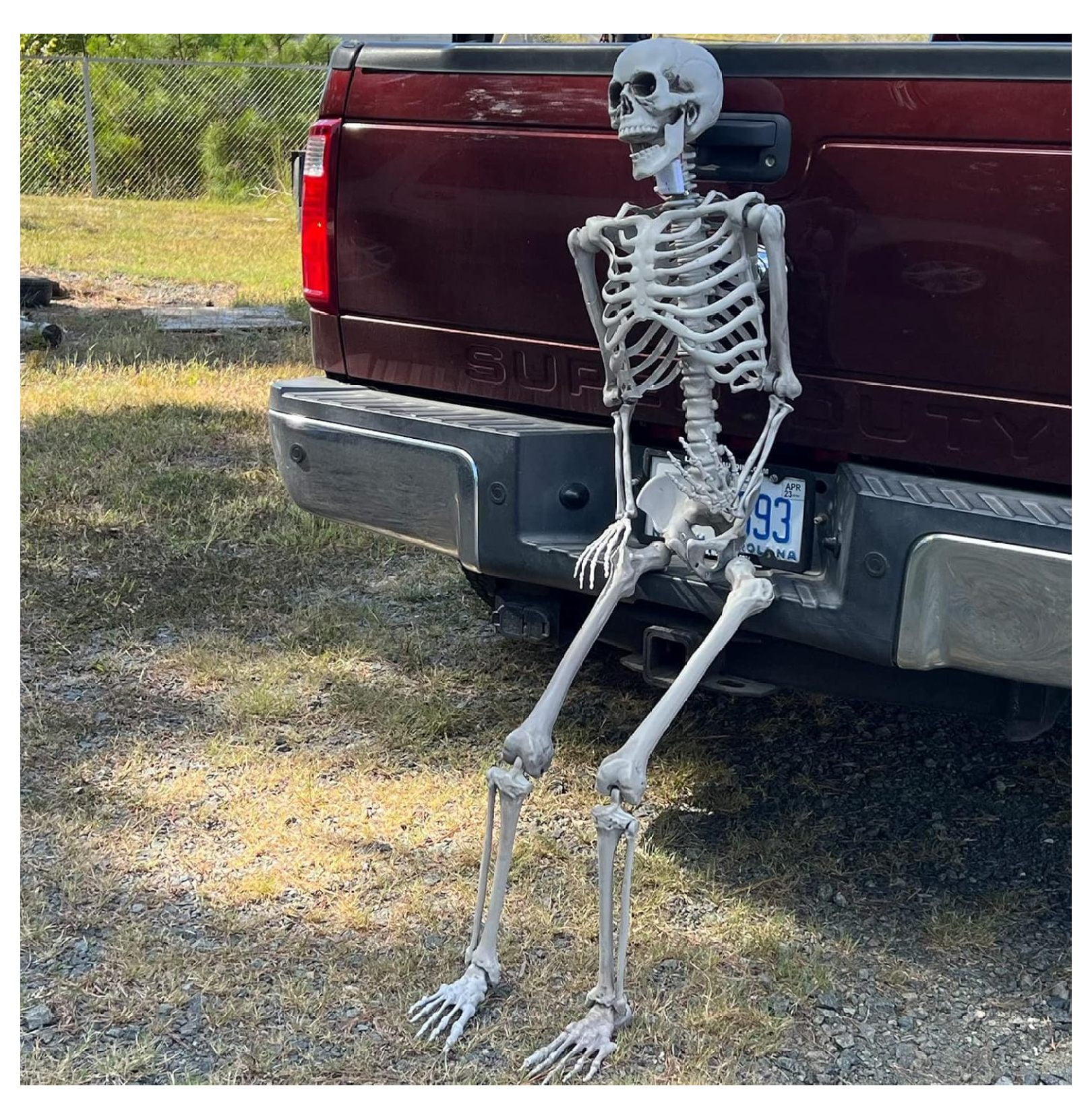 5.5FT Skeleton Realistic Life Size Human Skeleton with LED Glowing Eyes ...