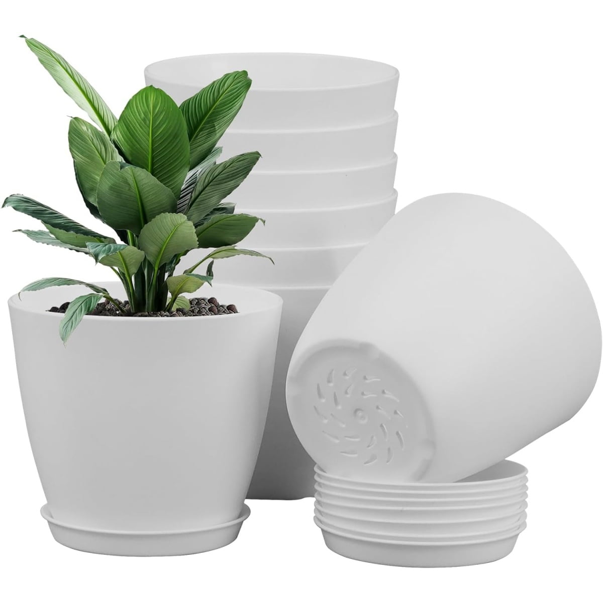 5.5x3.9x4.9In Seedlings Starter Plants Pots,Reusable Plastic Round ...