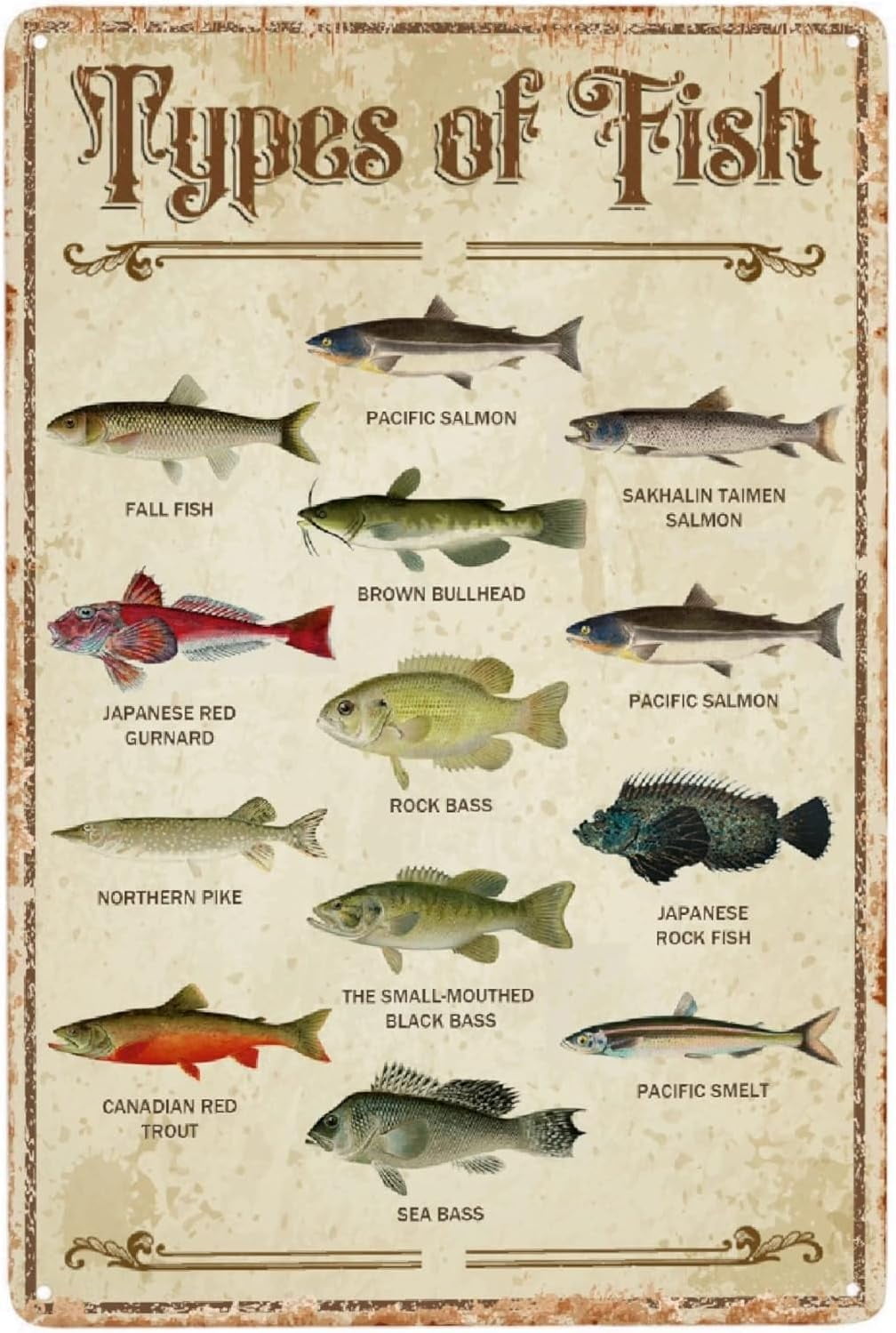 5.5x8 Inch Fish Vintage Aluminum Sign Metal Types Of Fish Poster Wall ...