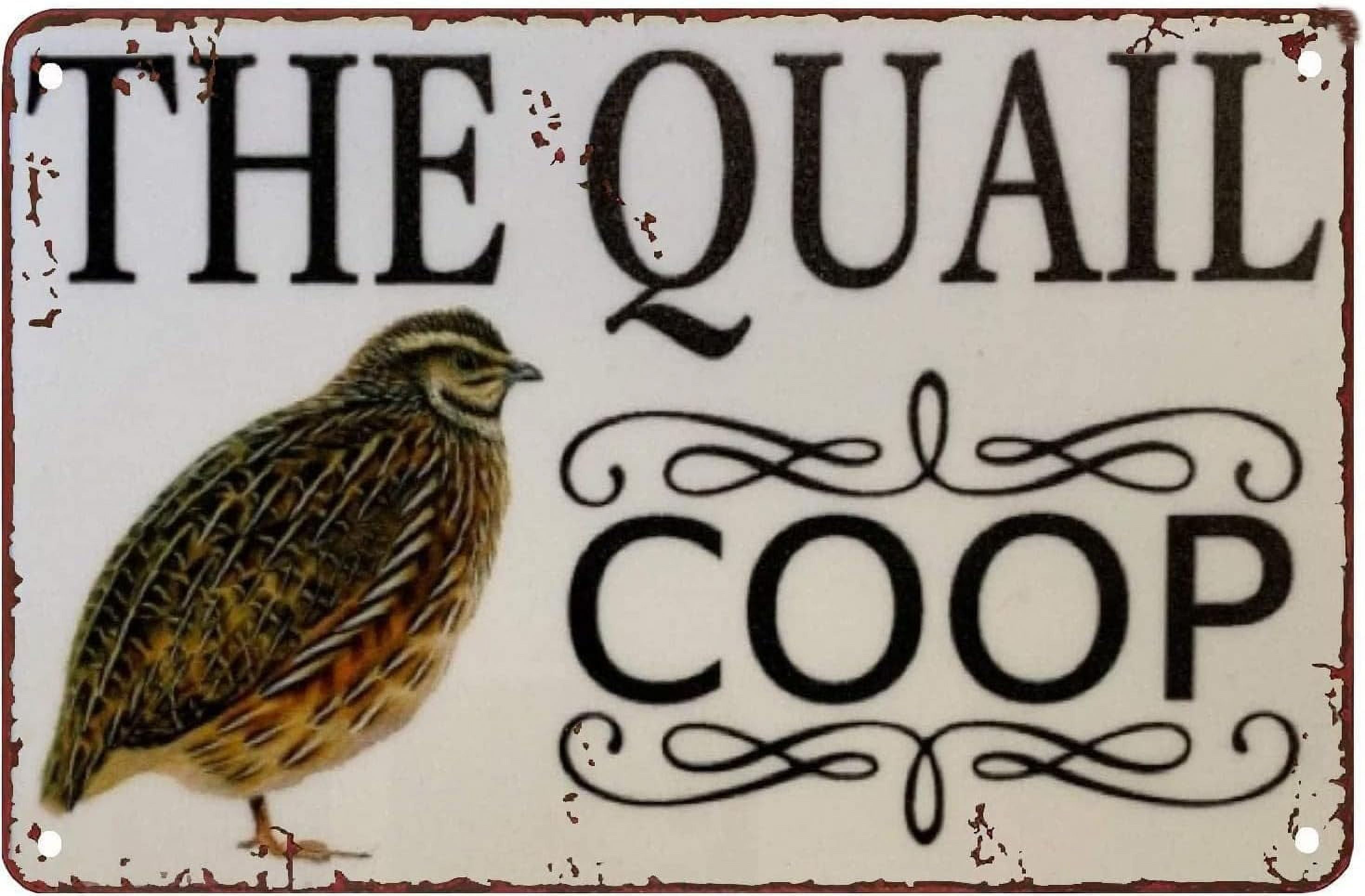 5.5x8 Inch Funny Metal Bar Signs Quail Coop White Sign Metal Sign Tin ...