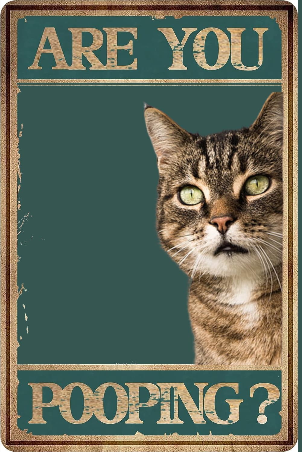 5.5x8 Inch Metal Tin Sign,Are You Pooping Cat Quotes Signs Vintage ...